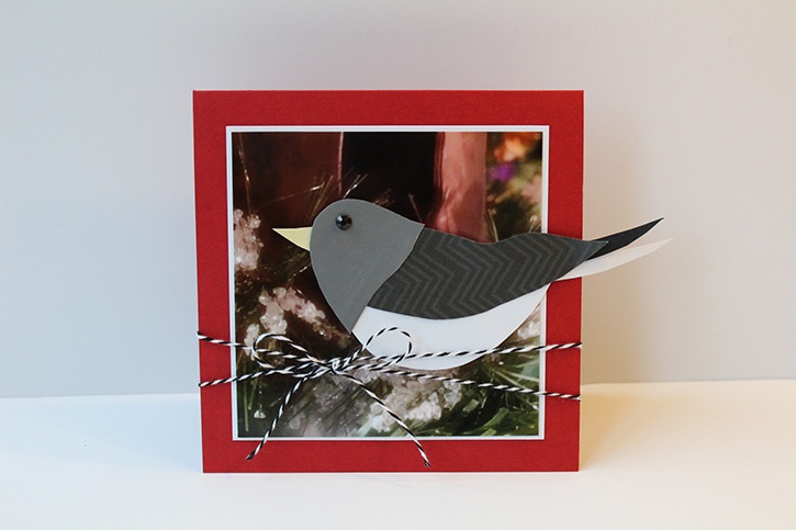 Junco Christmas Card